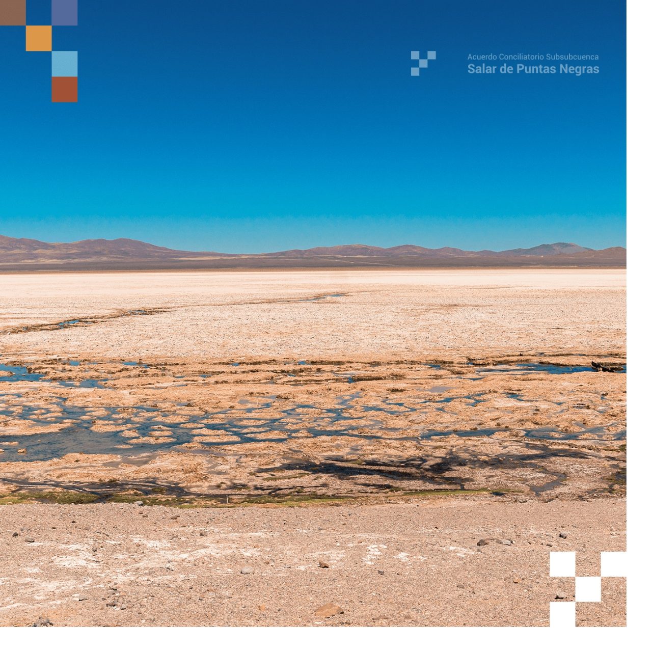 Conoce el Salar de Puntas Negras | Acuerdo Conciliatorio